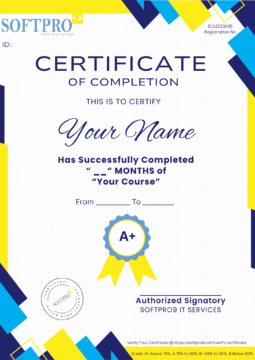 MERN Stack Training in Mysore SoftPro9 IT Services